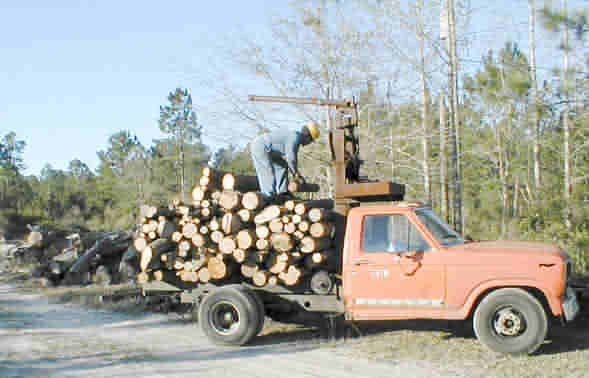 Log boom grapple help | Arborist, Chainsaw & Tree Work Forum